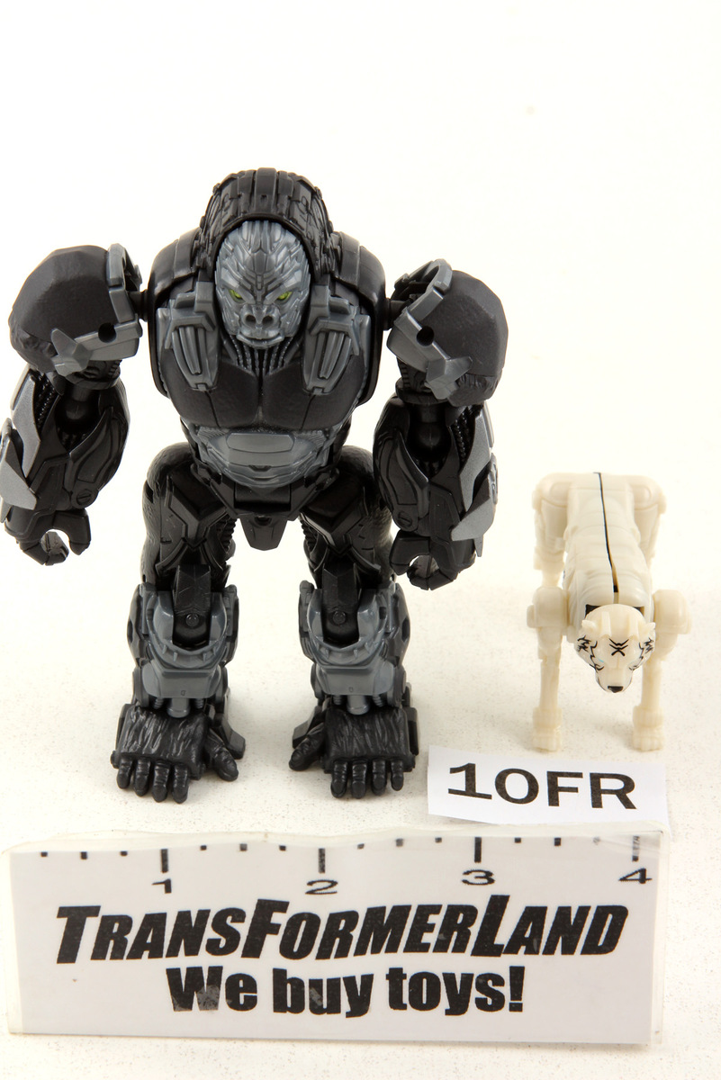 Complete Transformers® Movie - Rise of the Beasts (ROTB) Weaponizers ...