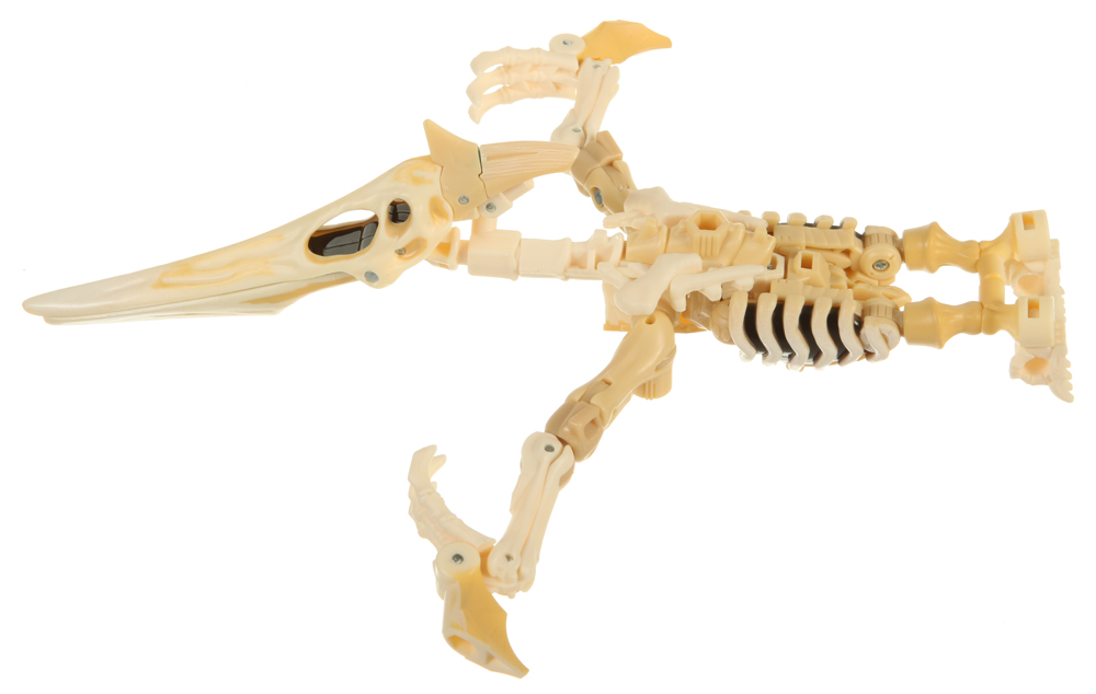 Deluxe Class Wingfinger (WFC-K25) (Transformers, War for Cybertron ...