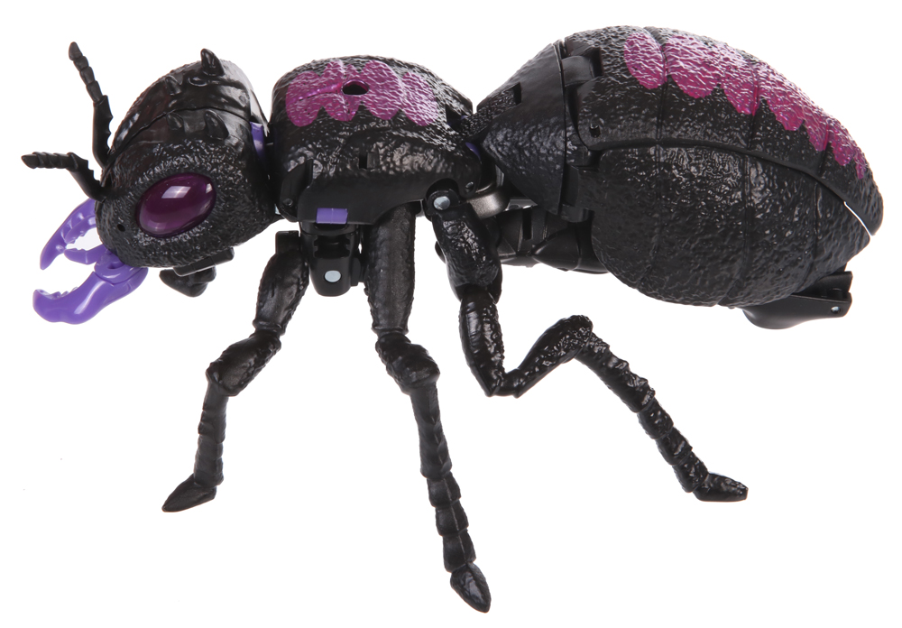 Voyager Class Antagony (Transformers, Legacy Evolution (Generations ...