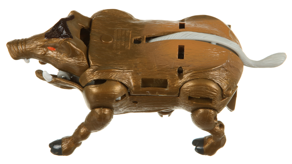 Basic Class Randy (C-34) (Transformers, Beast Wars Neo, Cybertron ...