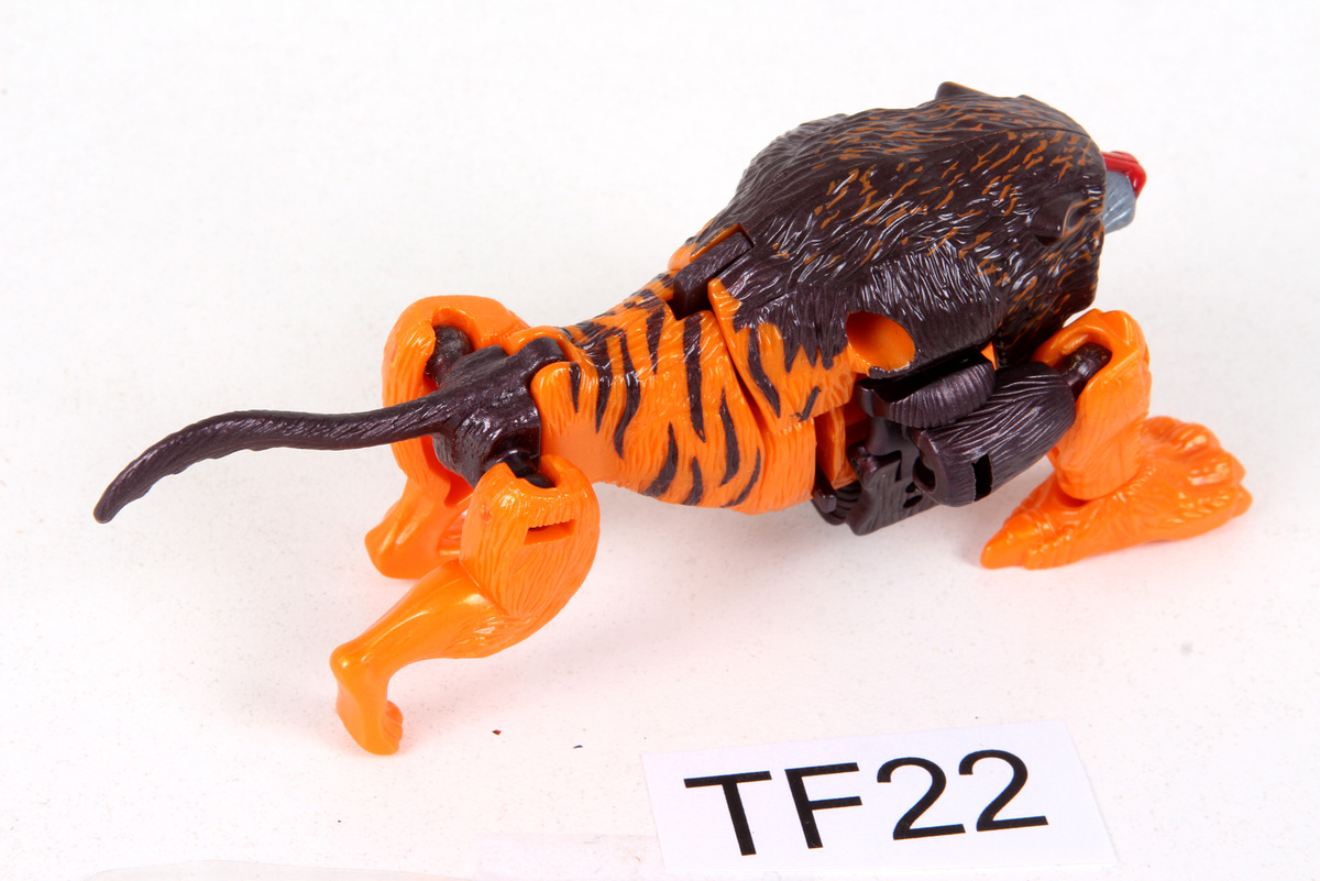 Transformers® Beast Wars Toy Store | Transformland.com - Largest ...