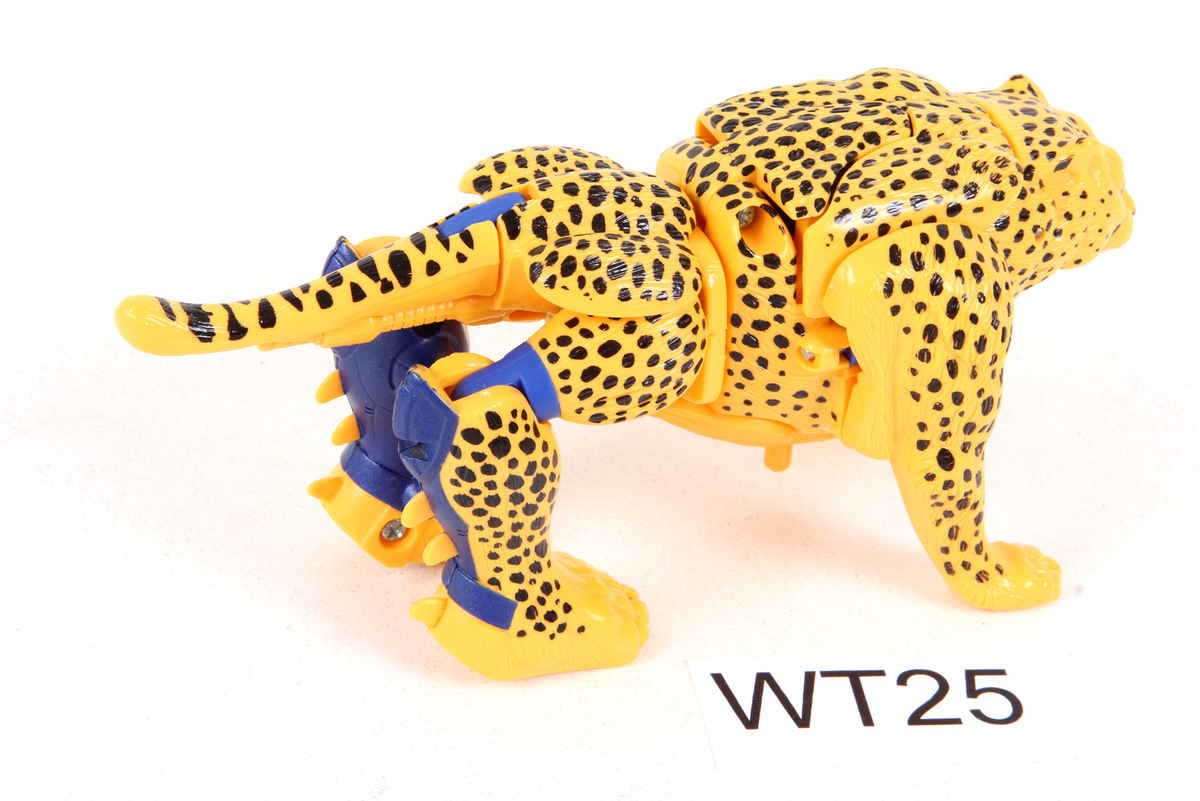 Transformers® Beast Wars Toy Store | Transformland.com - Largest ...